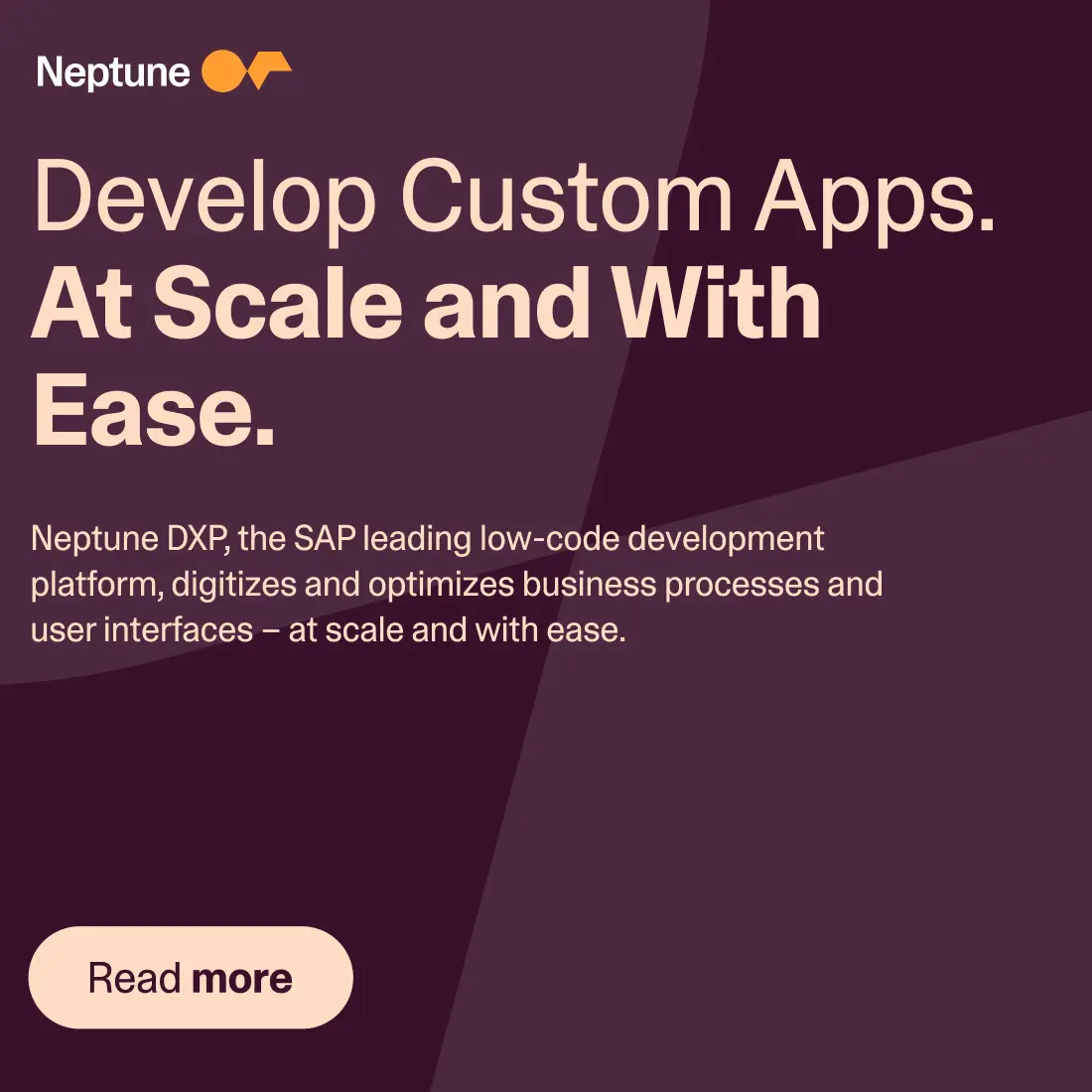 Neptune Dxp Sap Native Low Code Platform For Enterprise App Development